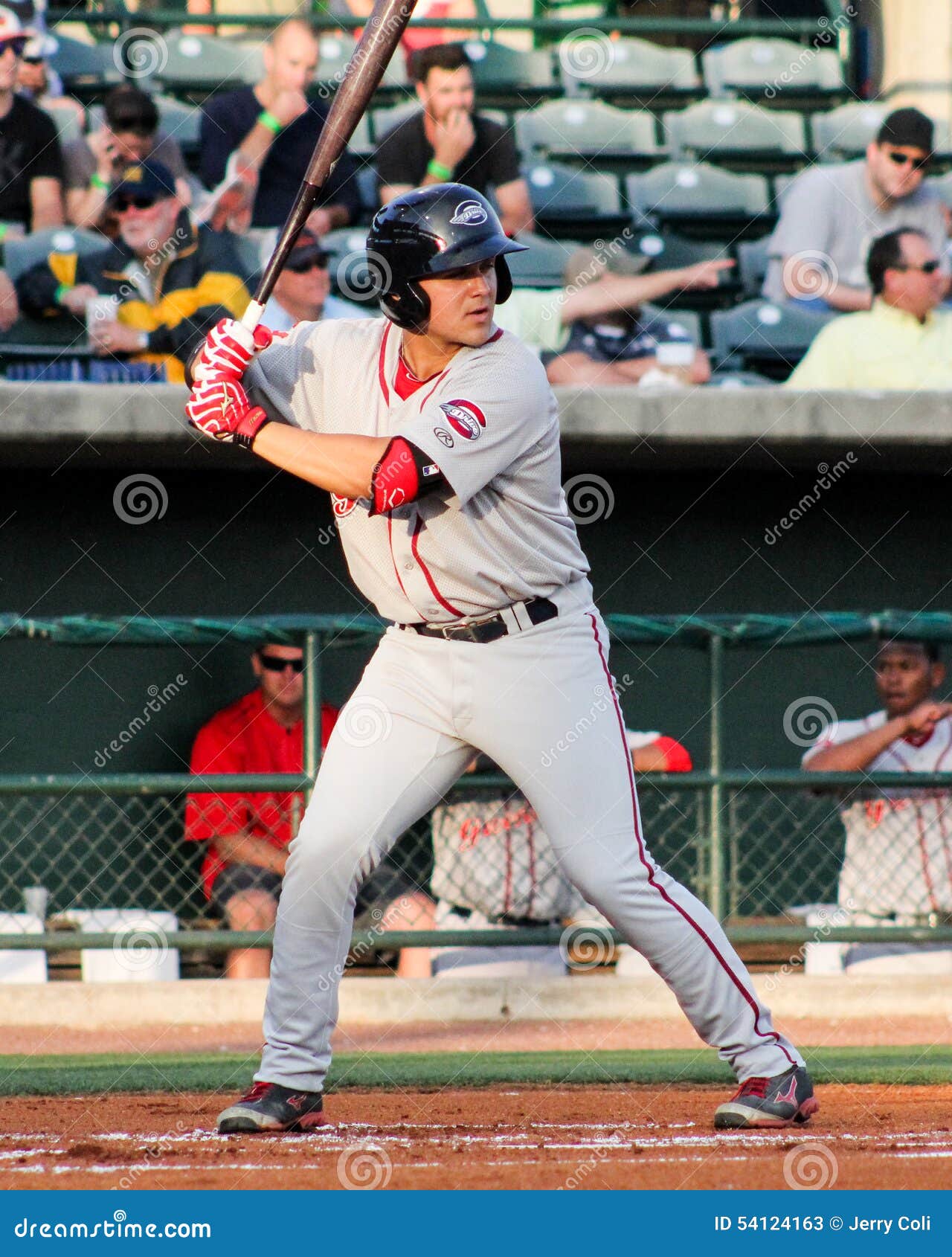Greenville Drive Baseball Stadium And Skyline In Downtown Greenville ...