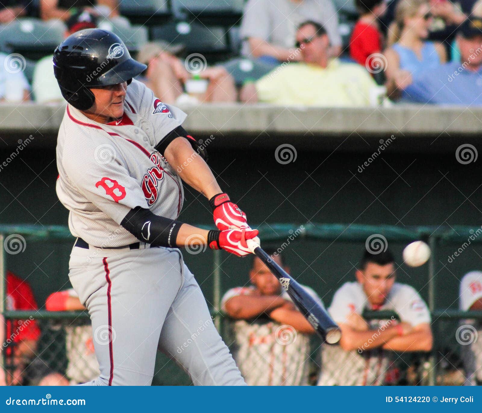 Greenville Drive Baseball Stadium And Skyline In Downtown Greenville ...
