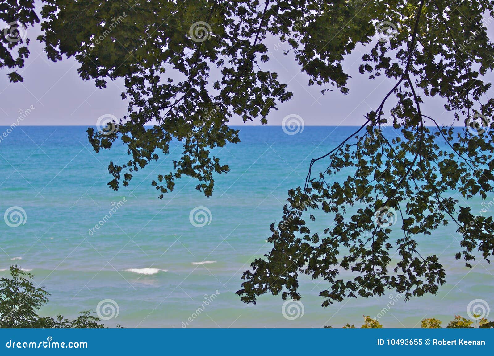 Michigan Coastline through Tree Stock Image - Image of scenic, peaceful ...