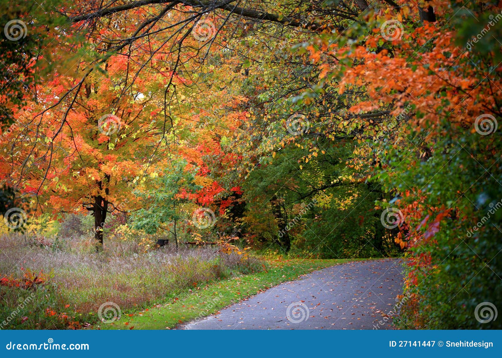 Michigan fall stock image. Image of park, yellow, walk - 27141447