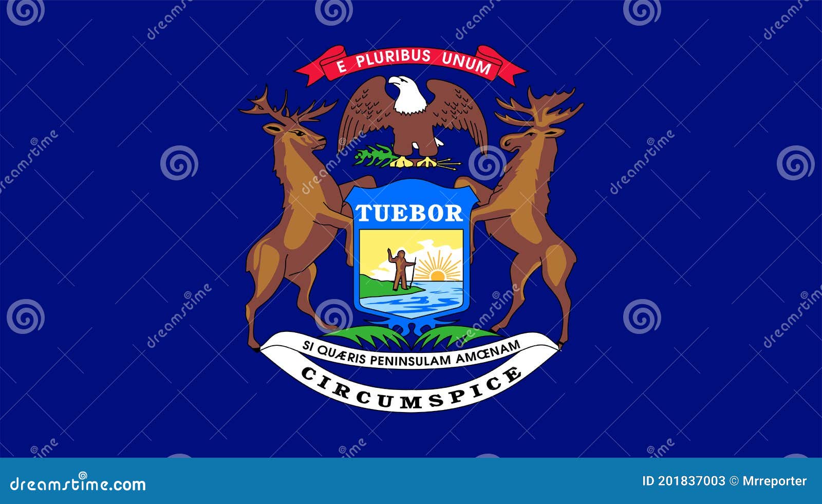 Michigan stock vector. Illustration of flag, flags, elements - 201837003