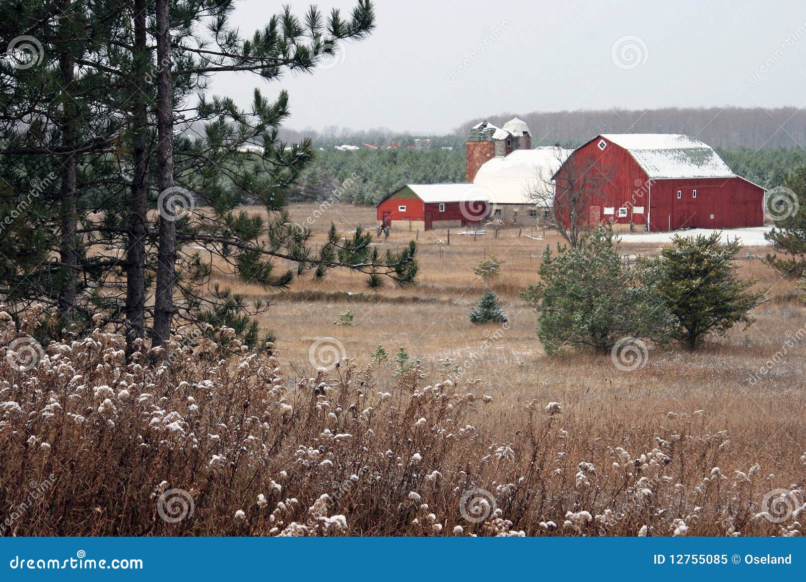 Michigan Red Barn stock image. Image of farming, agriculture - 12755085