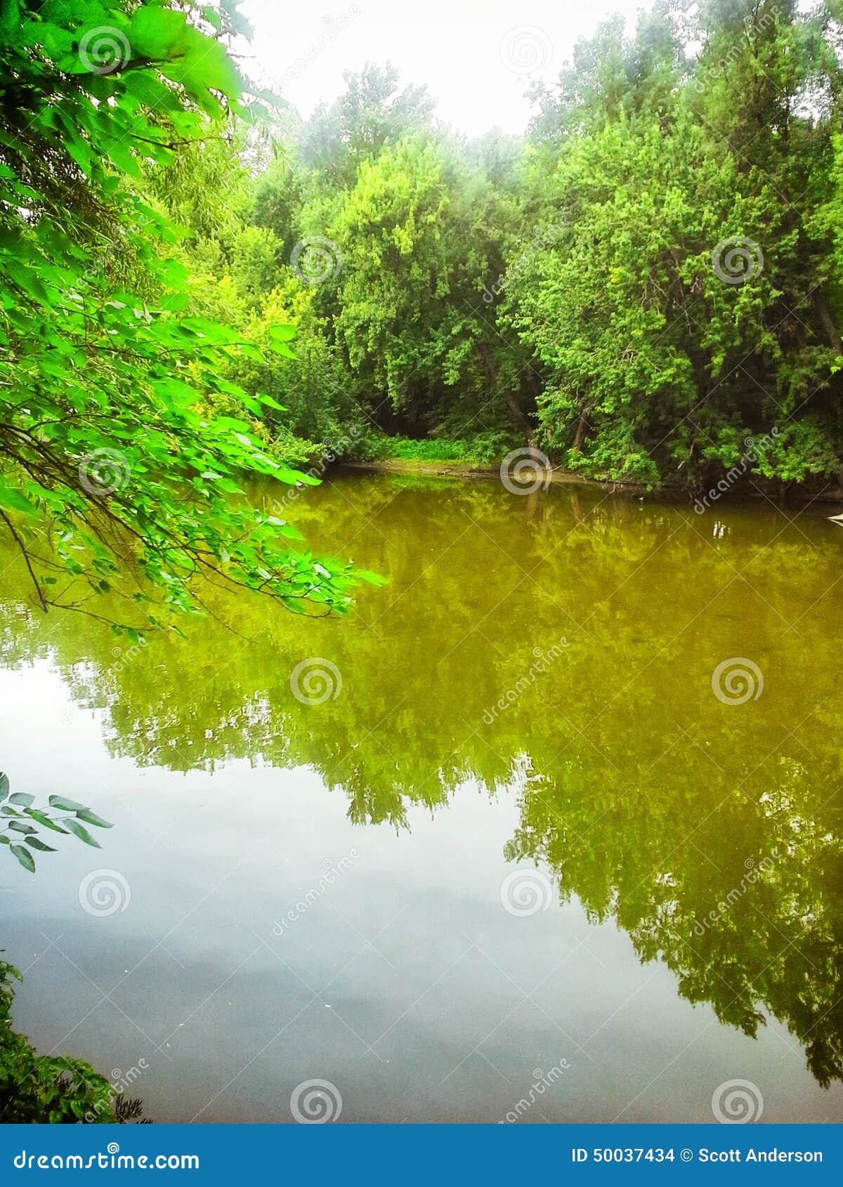 Michigan scenery stock photo. Image of scenery, river - 50037434