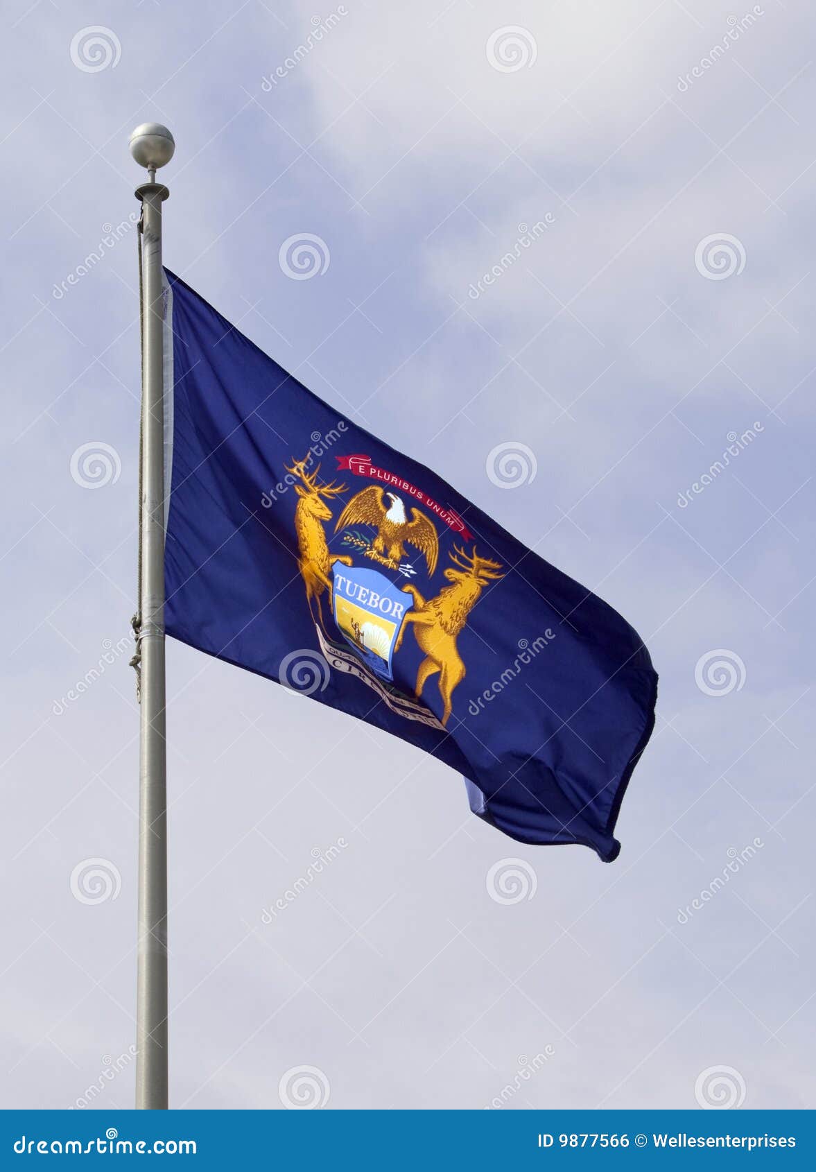 Michigan State Flag stock photo. Image of flagpole, arbor - 9877566
