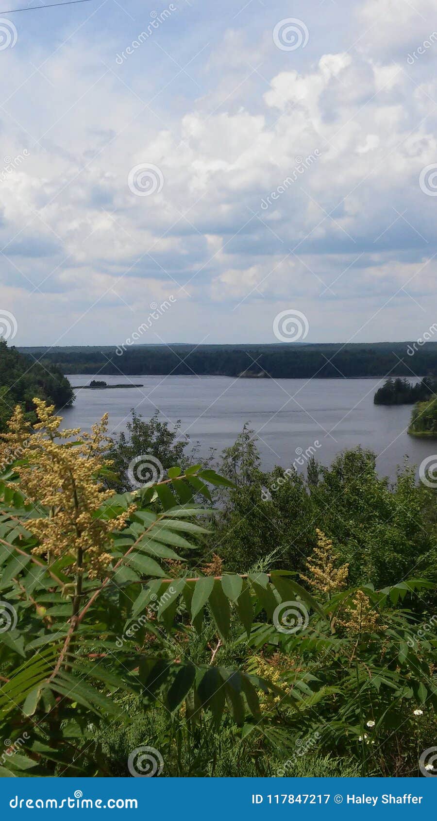 Michigan views stock image. Image of nature, michigan - 117847217