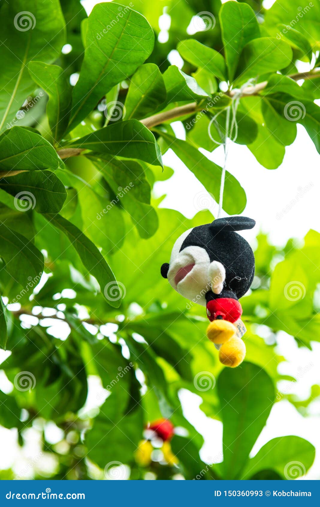 Mickey Mouse Doll Hanging on the Tree Editorial Stock Photo - Image of ...