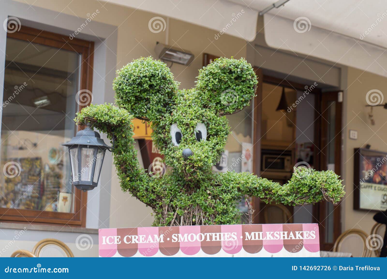Mickey Mouse Head Shaped Tree. Tree Trimming Editorial Photo - Image of ...