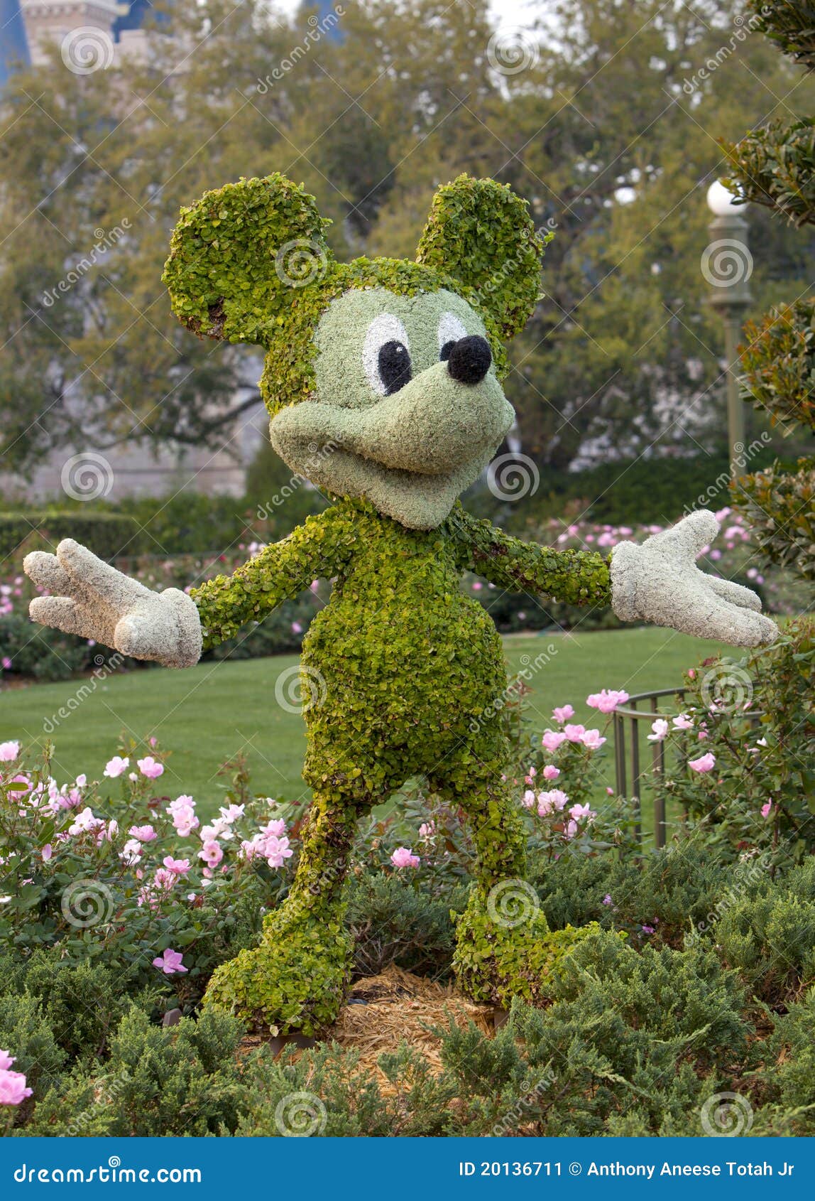Mickey Mouse Topiary