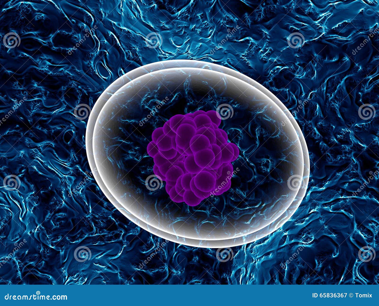 A Micro Cell Division Process Royalty-Free Illustration | CartoonDealer ...