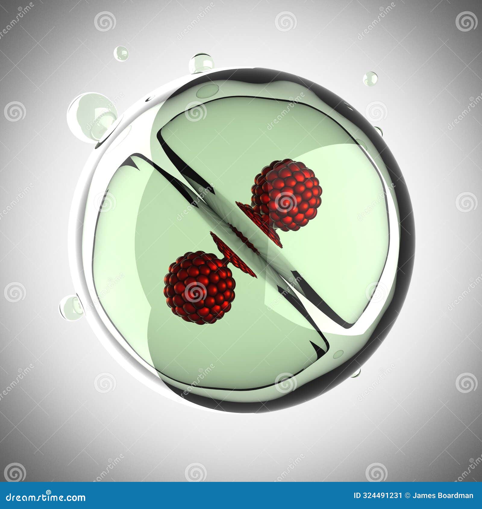 A Micro Cell Division Process Stock Illustration - Illustration of ...