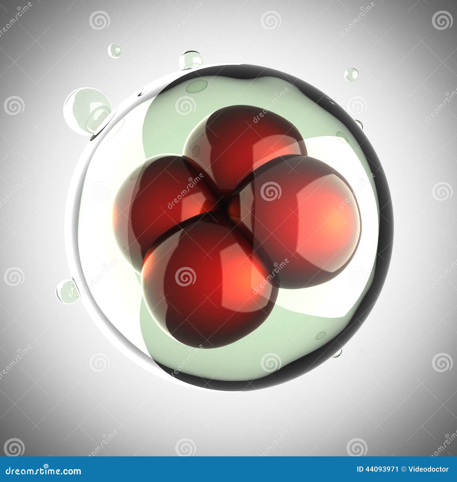 A Micro Cell Division Process Stock Illustration | CartoonDealer.com ...