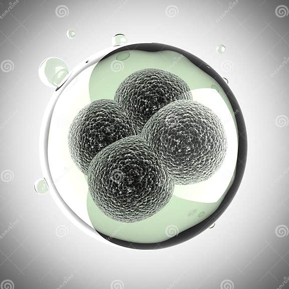 A Micro Cell Division Process Stock Illustration - Illustration of ...