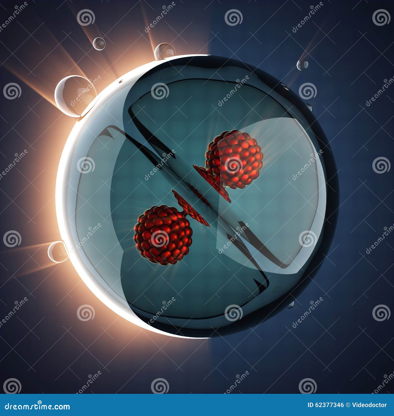 A Micro Cell Division Process Royalty-Free Illustration | CartoonDealer ...