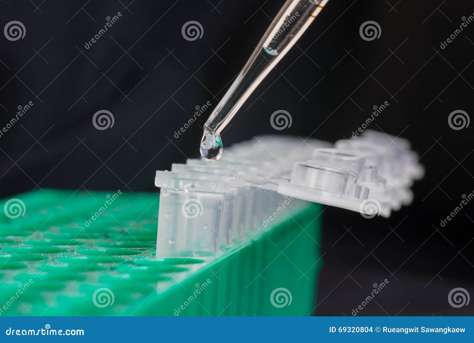 Micro Centrifuge Tubes Of Samples For Testing Anti-biotic In Beef Or ...