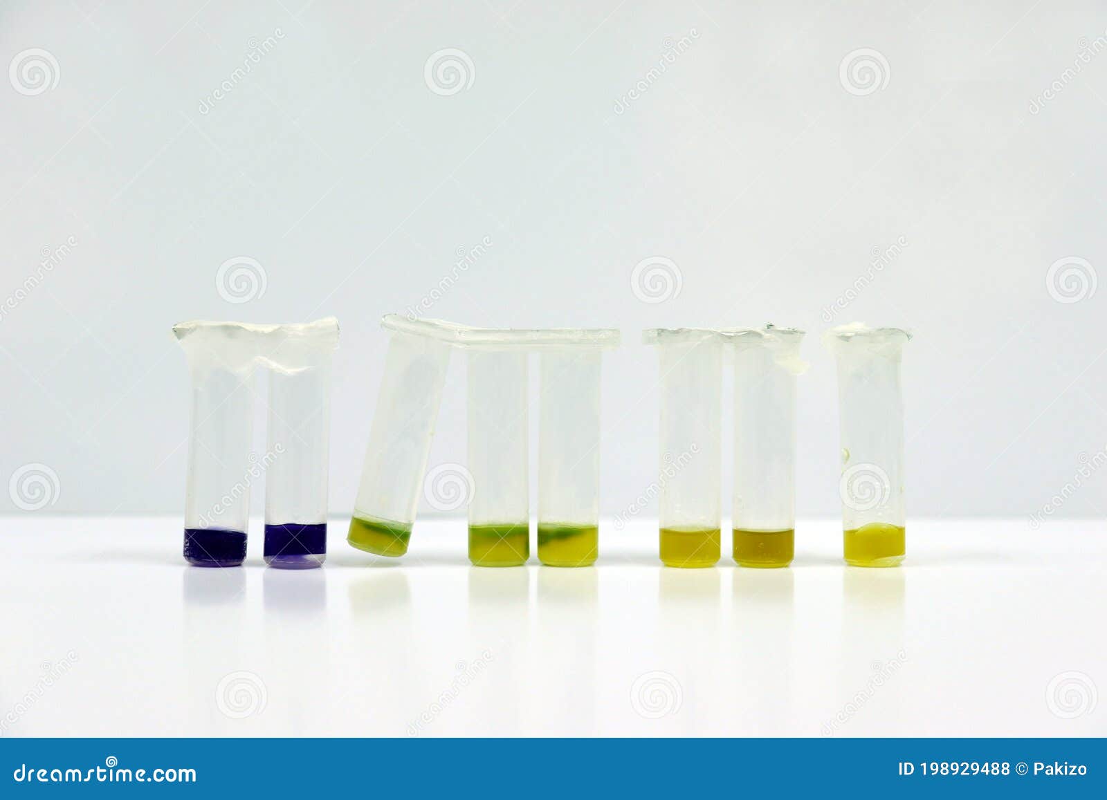 Micro Centrifuge Tubes Of Samples For Testing Anti-biotic In Beef Or ...