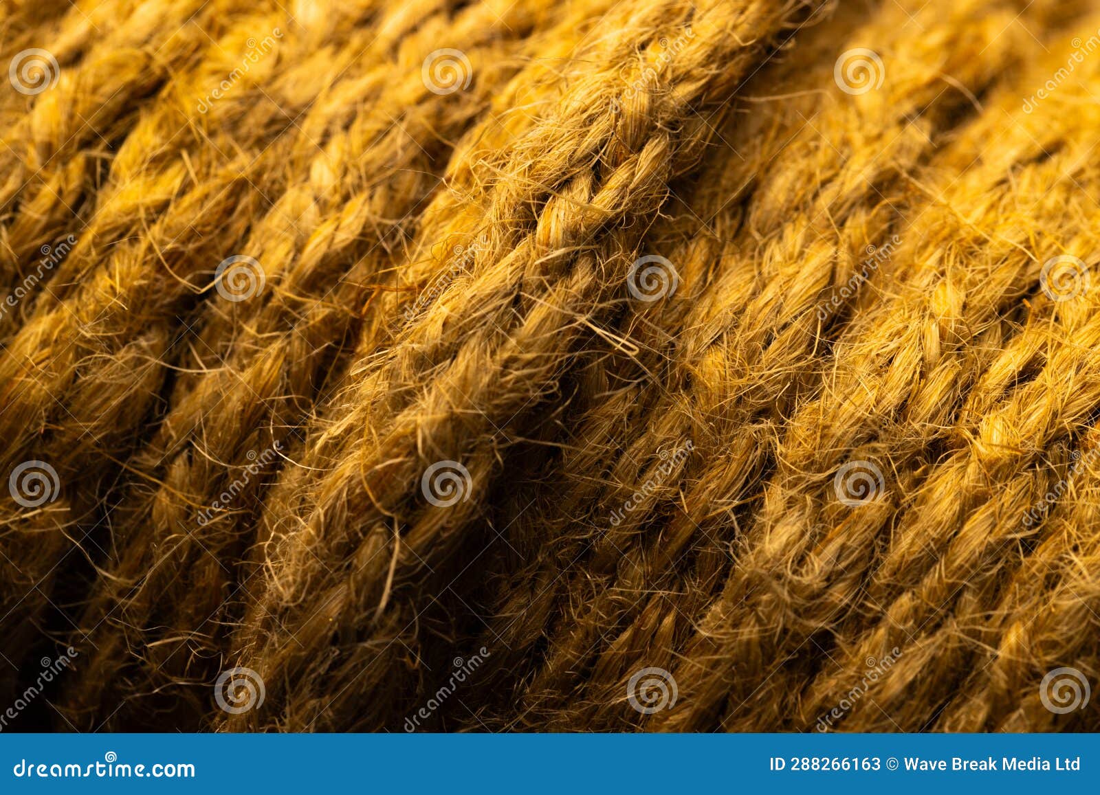 Micro Close Up of Yellow Wool Threads with Copy Space Stock Image ...