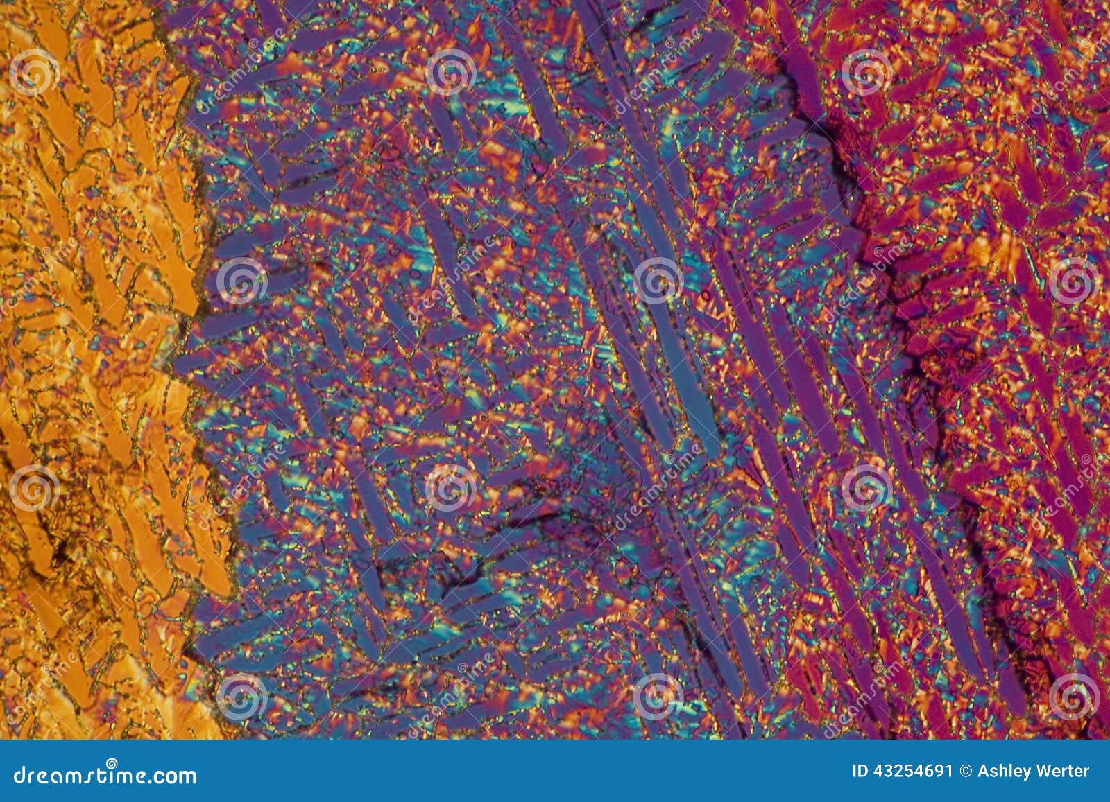 Micro Crystal stock image. Image of photograph, micrography - 43254691