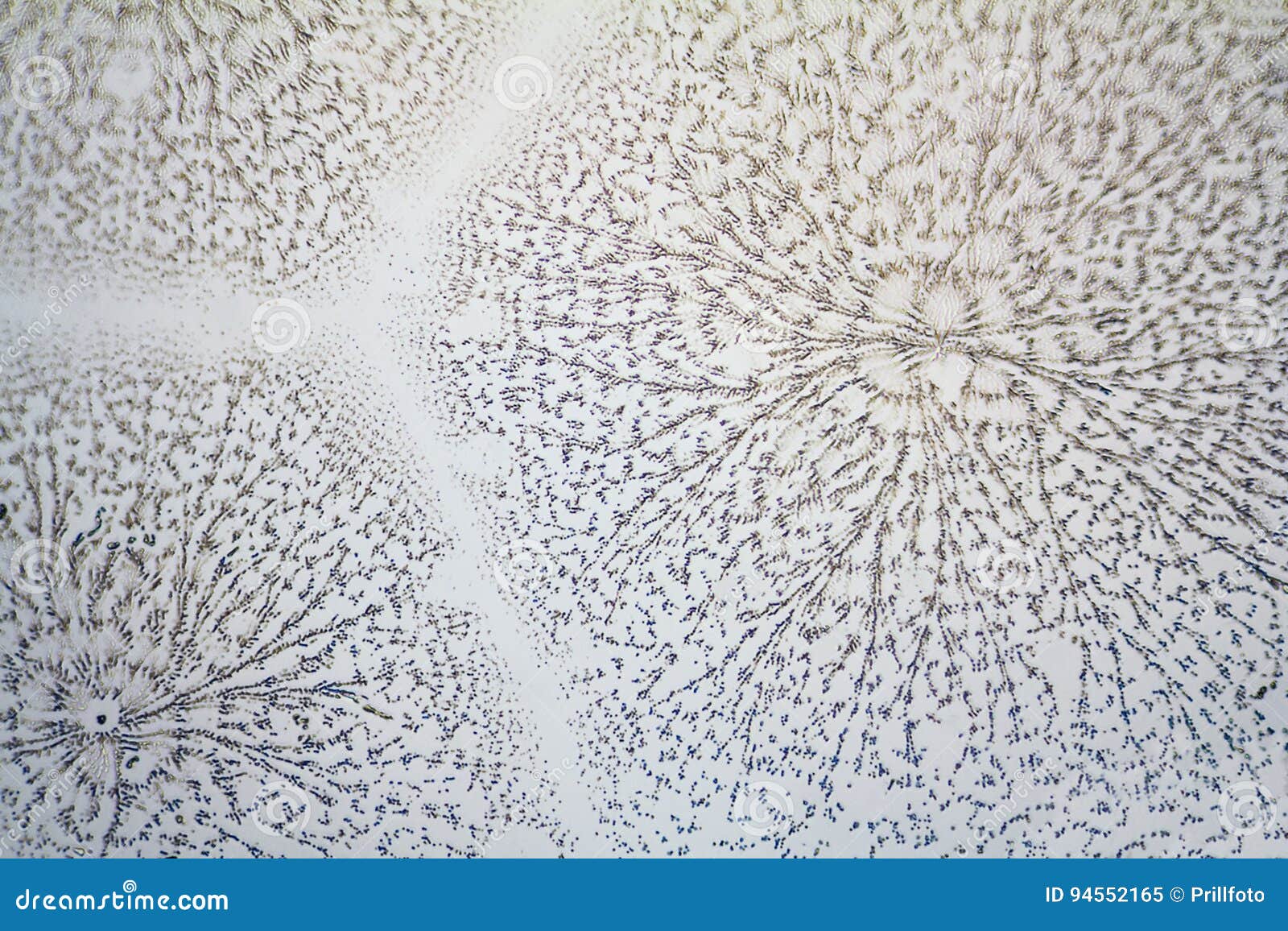 Micro crystal pattern stock image. Image of chemical - 94552165
