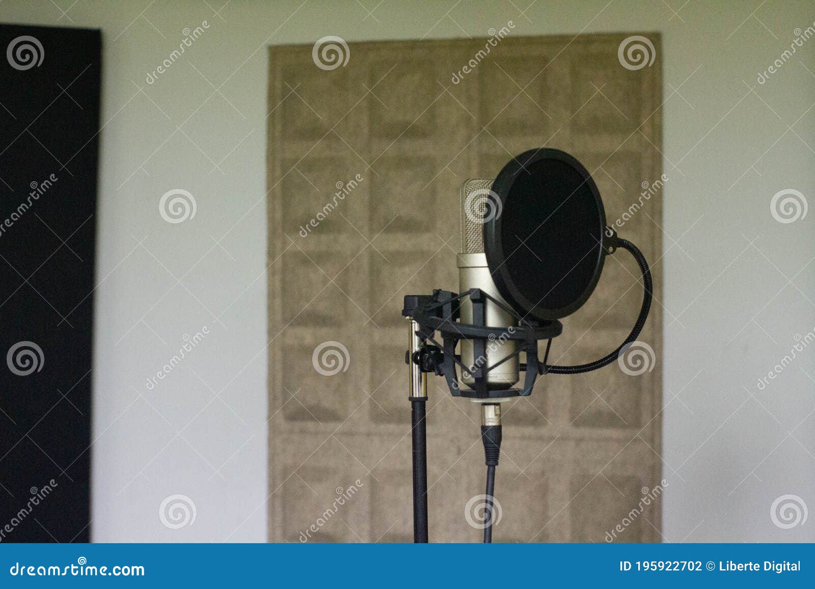 Micro De Studio Avec Anti-bruit Photo stock - Image du musicien, micro ...