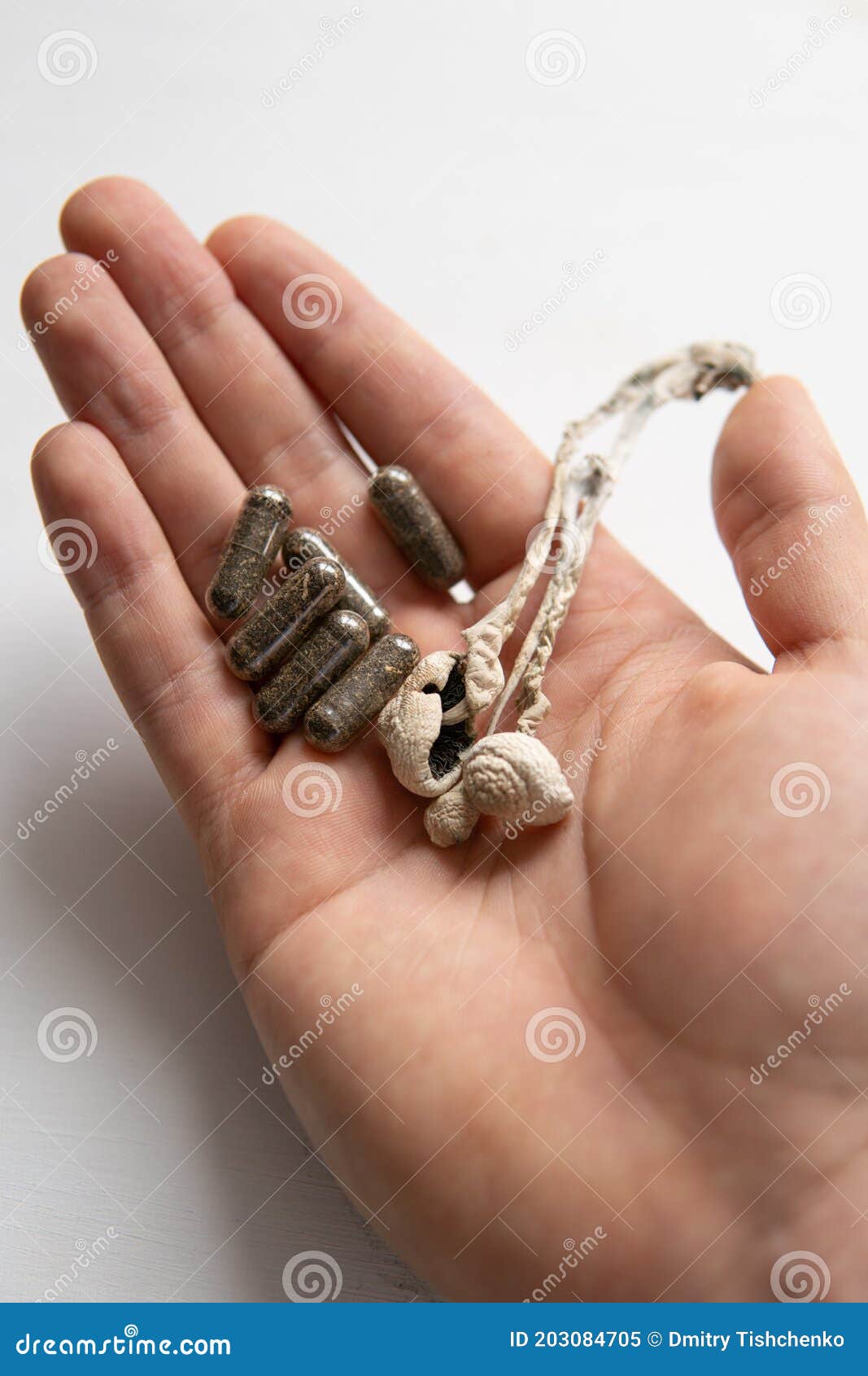 Micro-dosing Dry Psilocybe Cubensis. Psychedelic Microdosing Stock ...