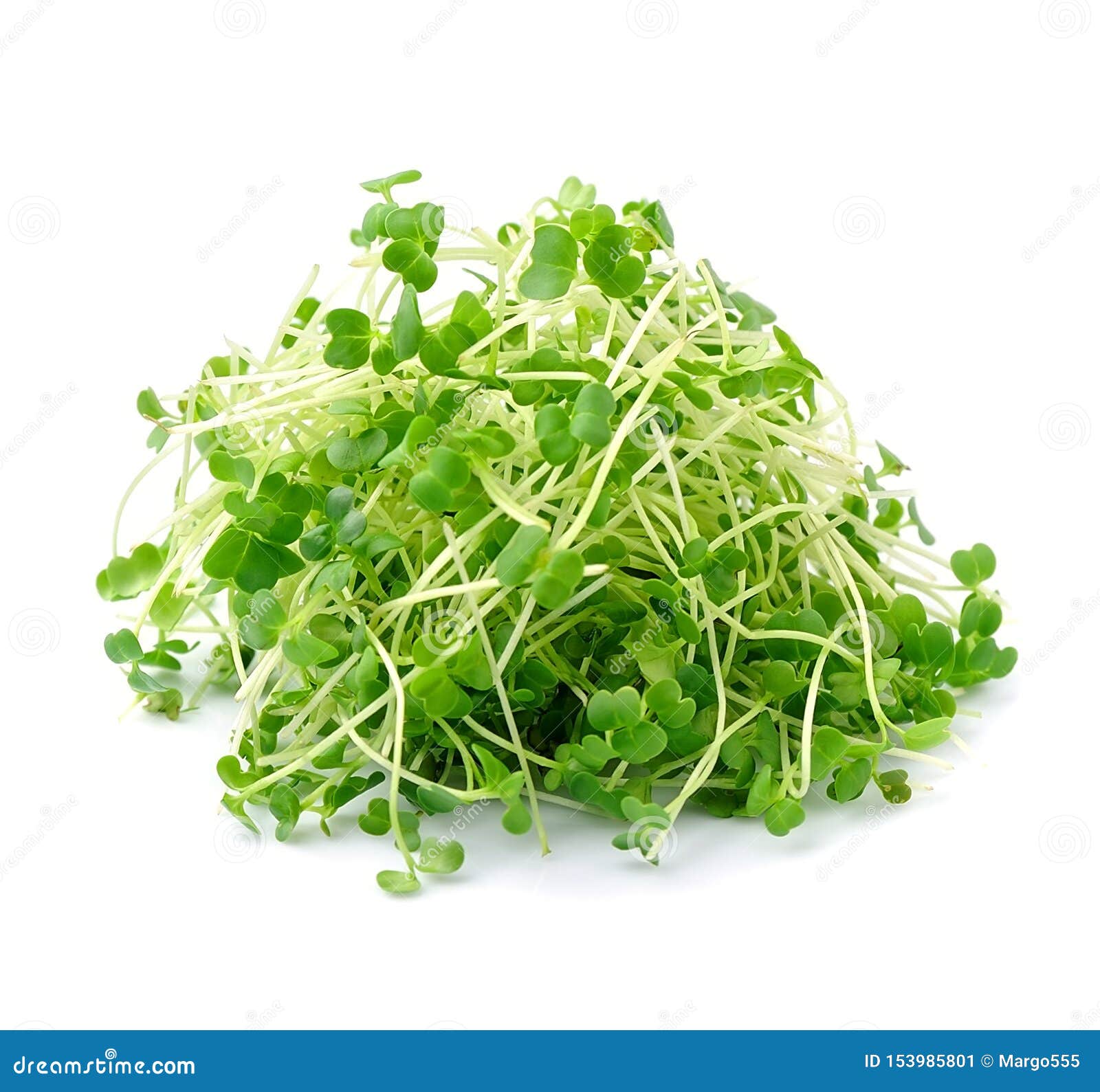 Micro green salad stock image. Image of cooking, arugula - 153985801