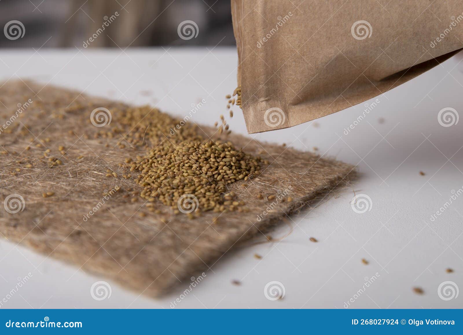 Micro-green Seeds are Poured Out of the Package Onto a Special Mat ...
