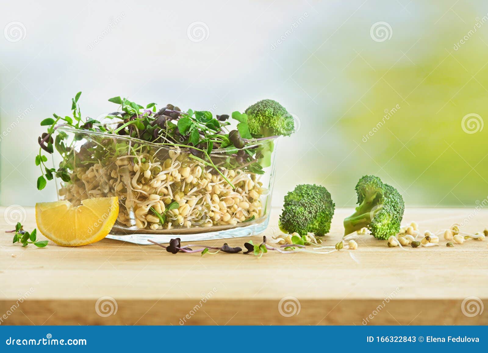 Micro Greens and Sprouts in Glass Bowl. Stock Image - Image of health ...