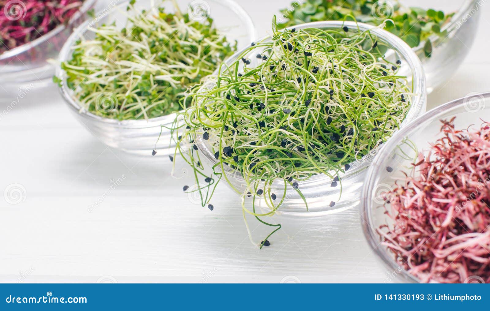 Micro Greens Sprouts of Onion and Other Sprouts in Glass Bowls Stock ...