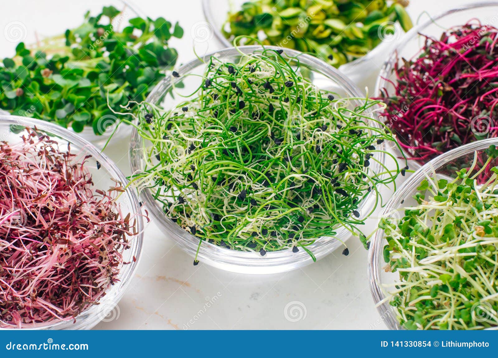 Micro Greens Sprouts of Onion and Other Sprouts in Glass Bowls Stock ...