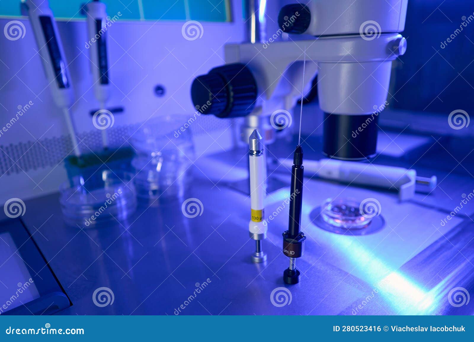 Micro-instrument for Manipulating Germ Cells and Embryos Stock Photo ...