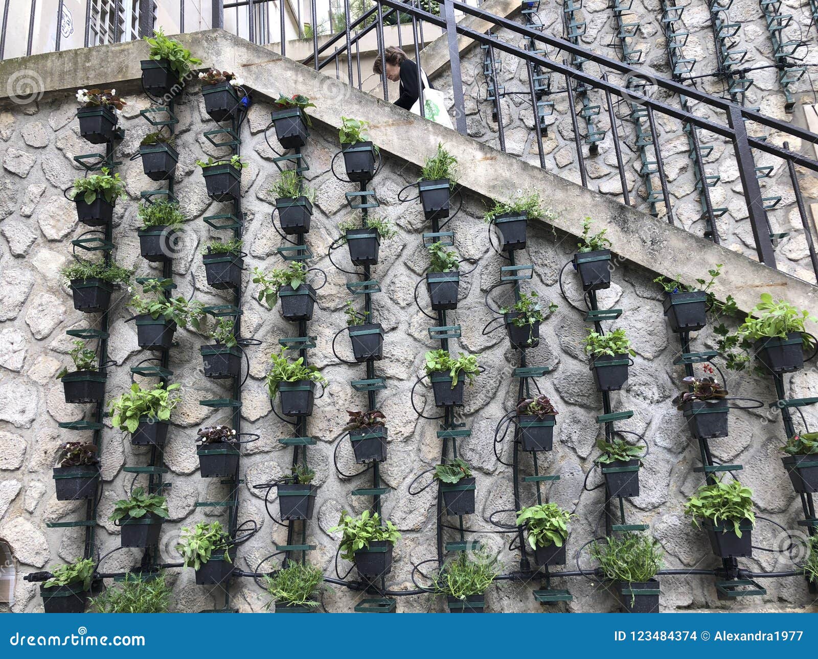 Micro Jardim De Erva Vertical Foto de Stock - Imagem de estrutura ...