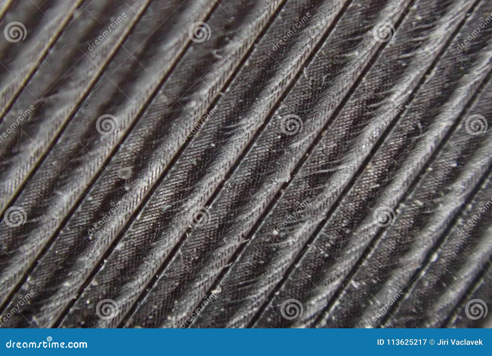 Micro Photo Of Coleus Plant Royalty-Free Stock Image | CartoonDealer ...