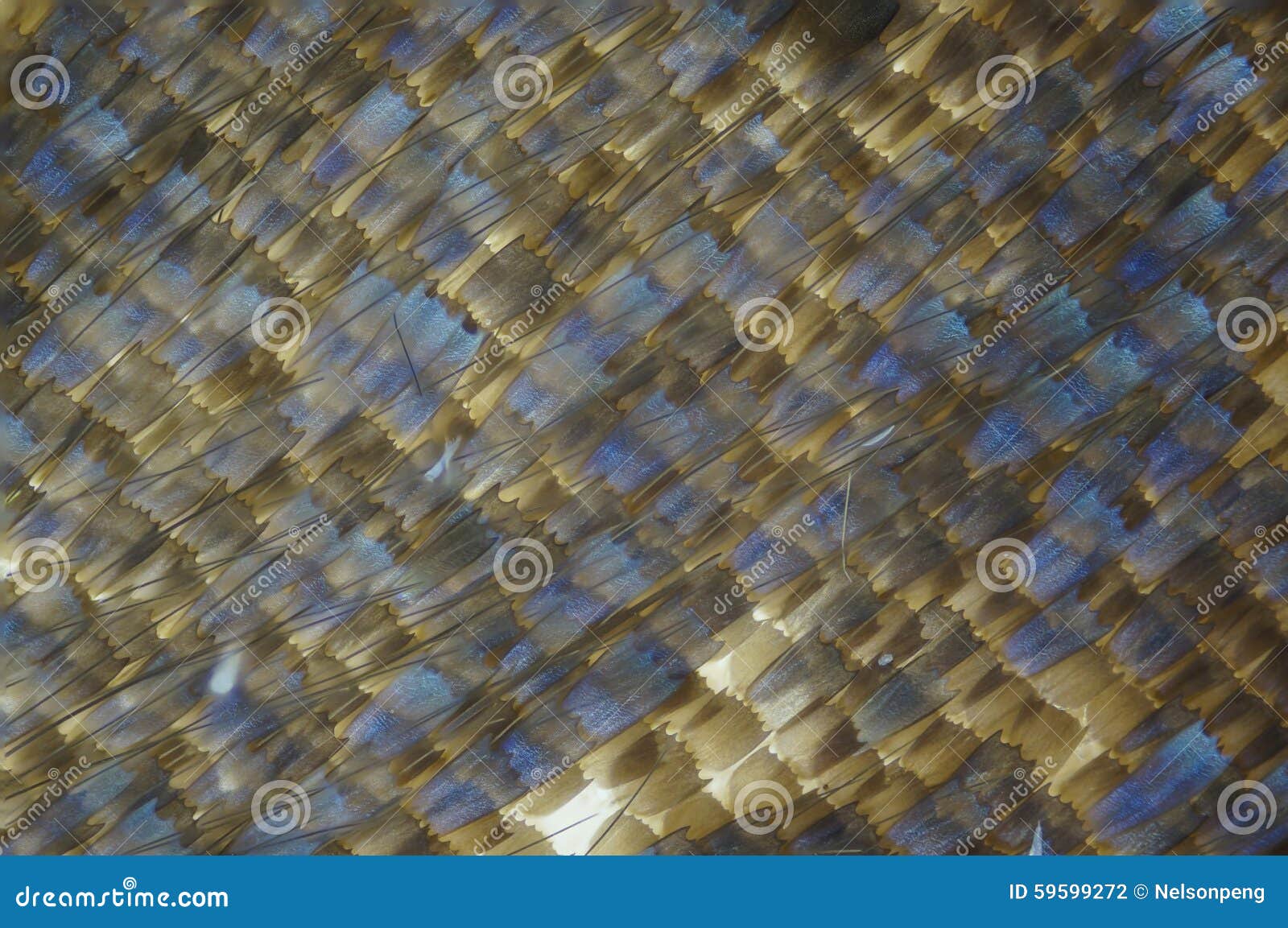 Micro Photography Of Sand Grains Royalty-Free Stock Image ...