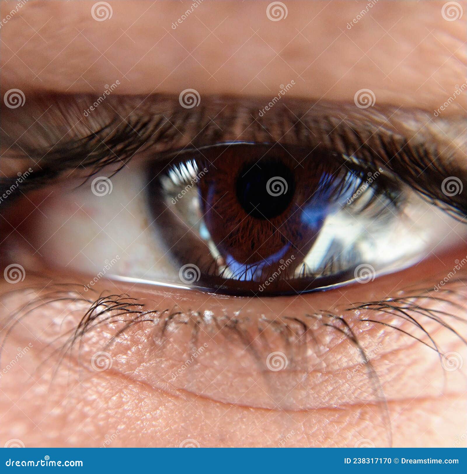 A micro pic of human eye stock photo. Image of micro - 238317170
