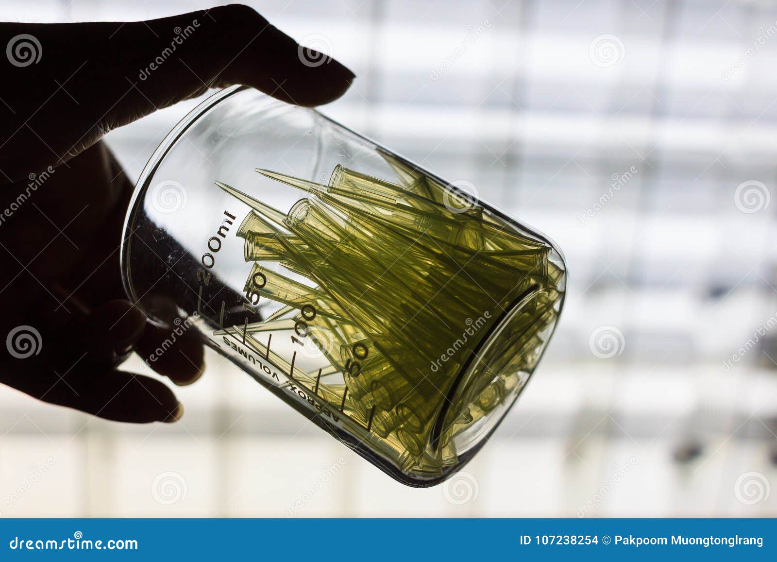 Micropipette Tips Inside of the Beaker and Holding by Hand in La Stock ...