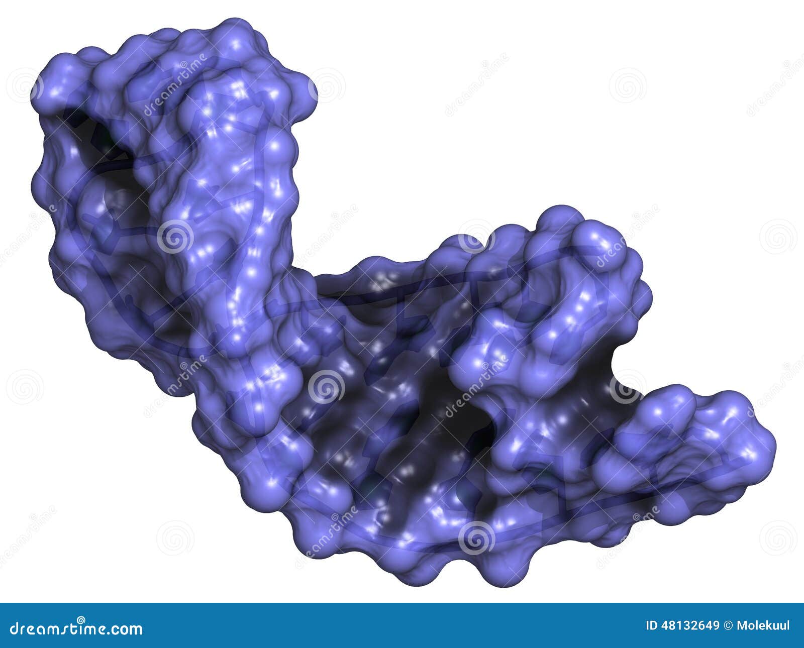 Micro RNA (miRNA, Hsa-miR-133a) Structure, Computer Model. Stock Image ...