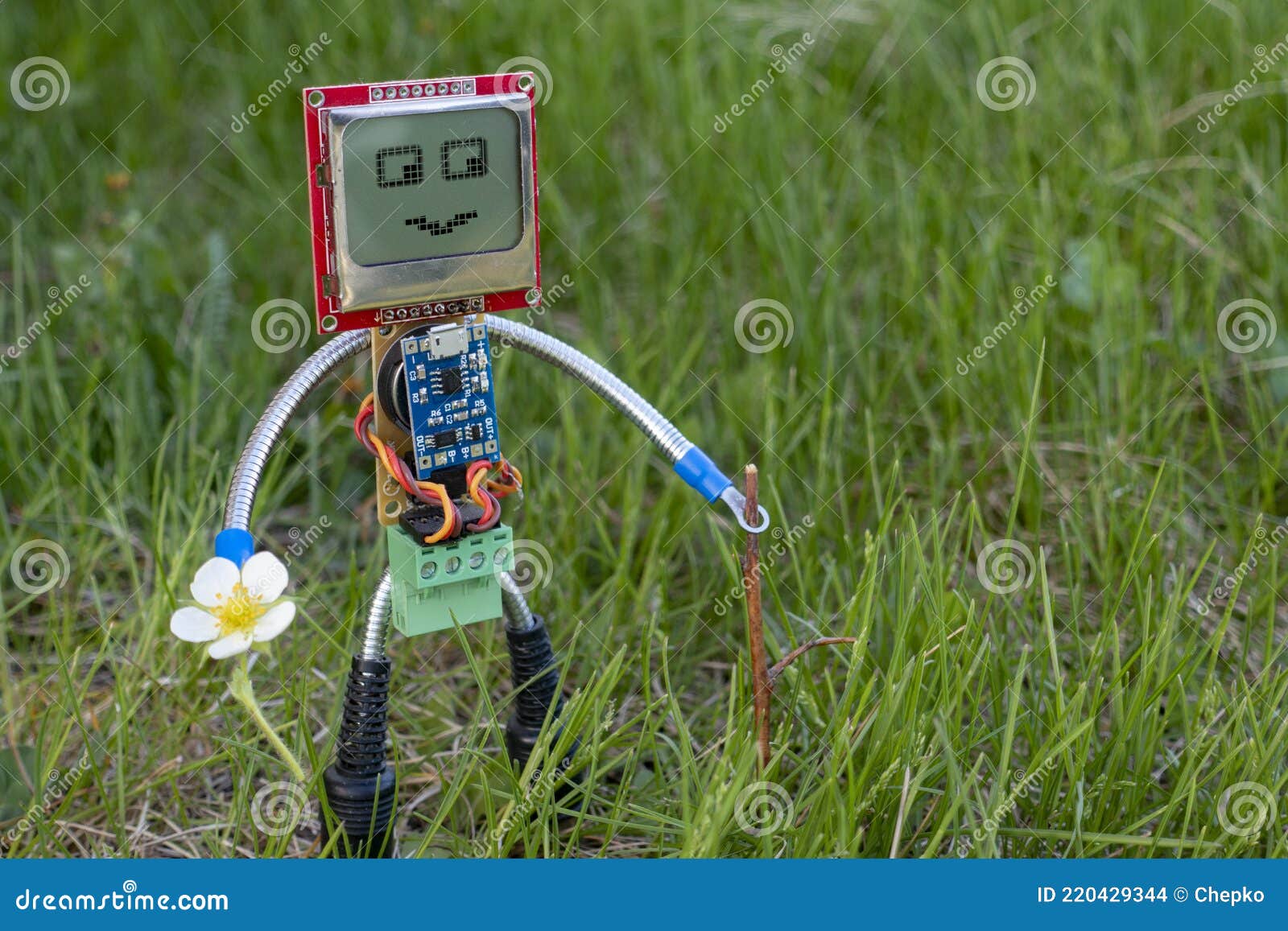 Micro Robot in Grass on Summer Nature Stock Photo - Image of digital ...
