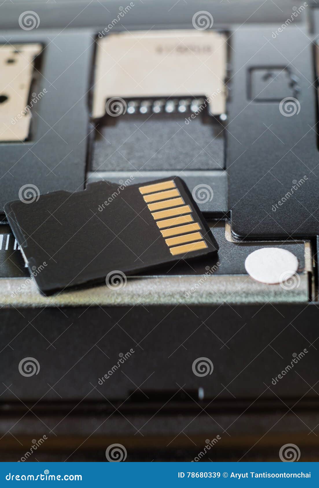 Micro SD Card on Smart Phone. Stock Image - Image of clean, connection ...