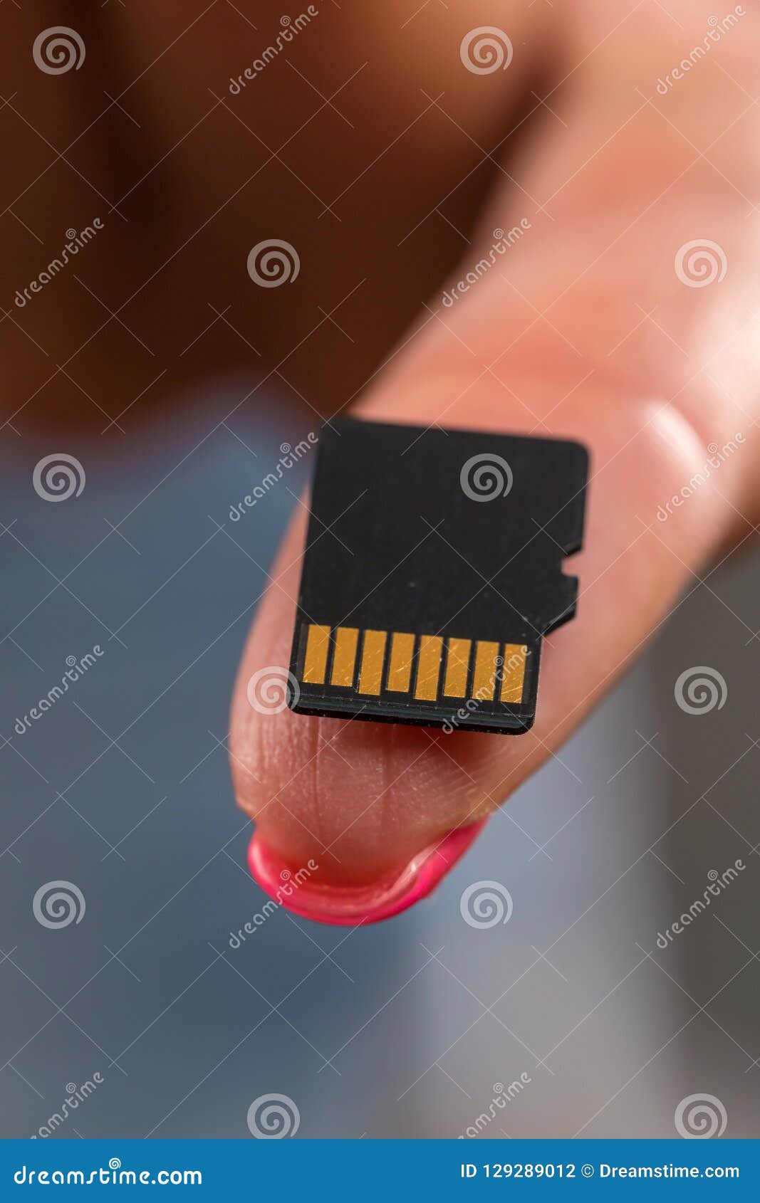 Micro Secure Digital Card is the Equipment that Use for Store Data ...