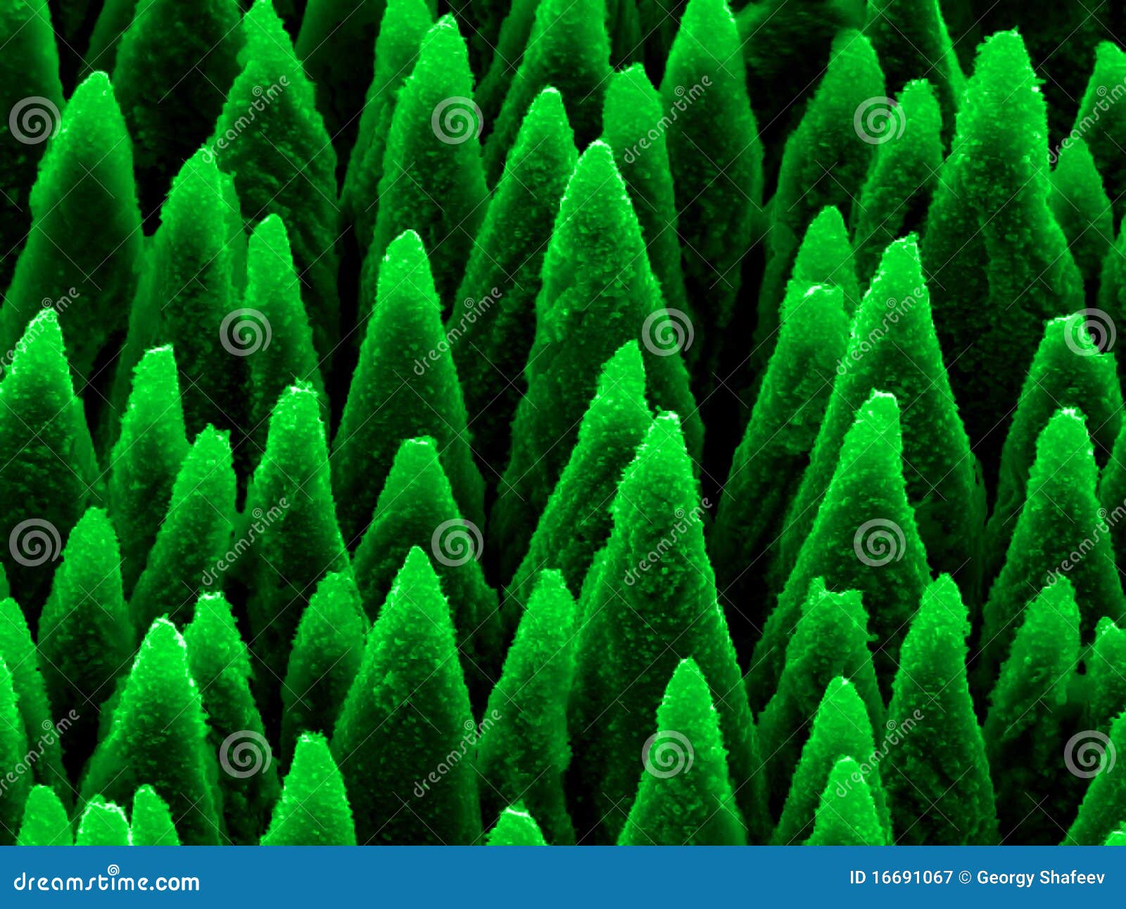 Micro-spikes On Silicon Produced By Laser Beam Royalty-Free Stock Photo ...