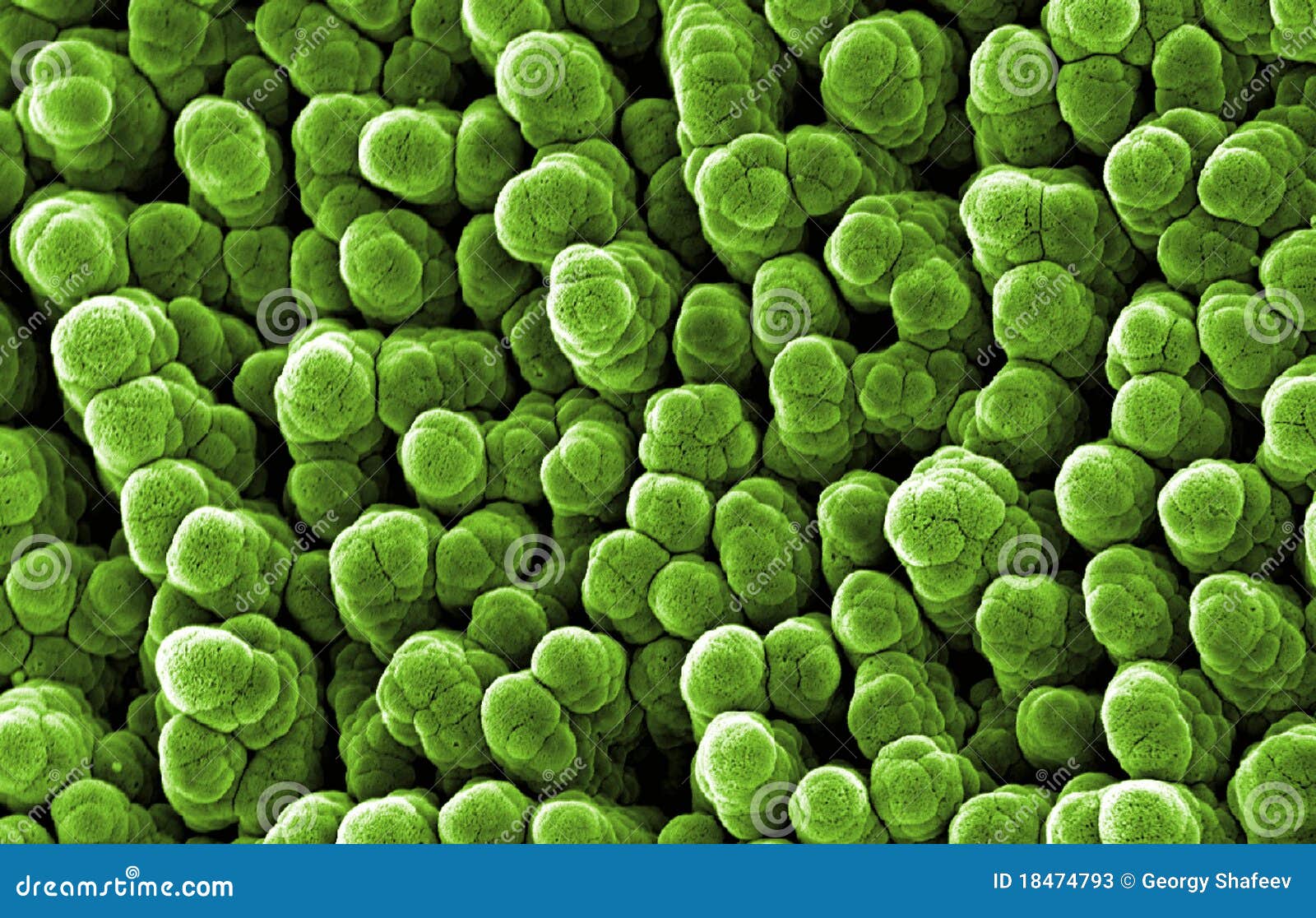 Micro-structures on Aluminum Stock Image - Image of atomic, scan: 18474793