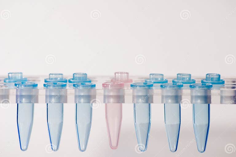 Micro Test Tubes; Boy or Girl? Stock Photo - Image of pink, development ...
