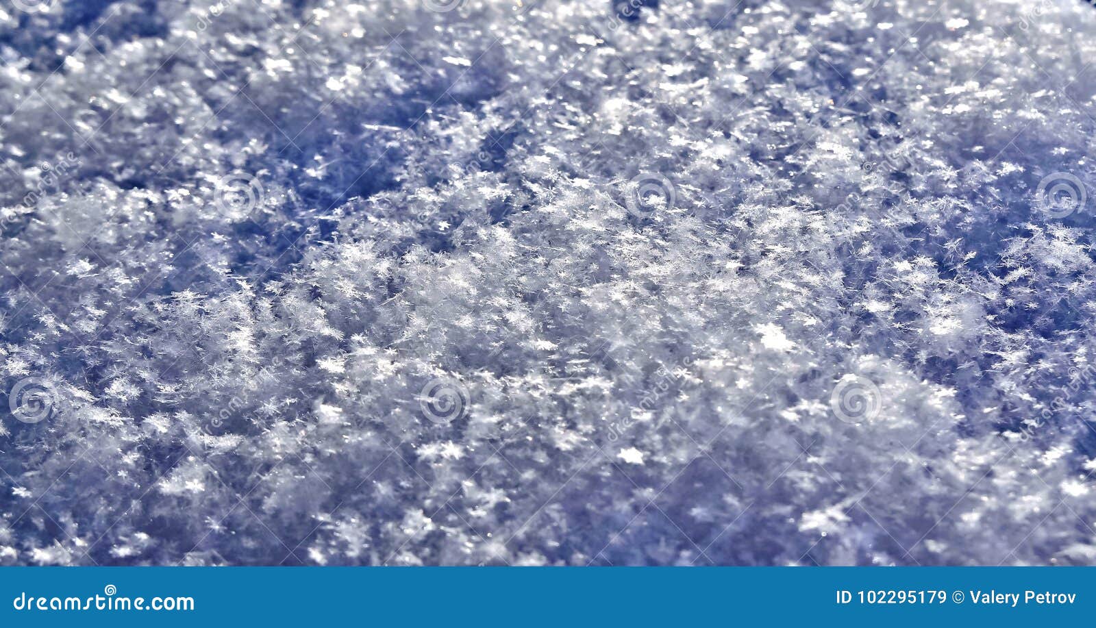 Micro-texture of the Snow, See Individual Snowflakes Stock Image ...