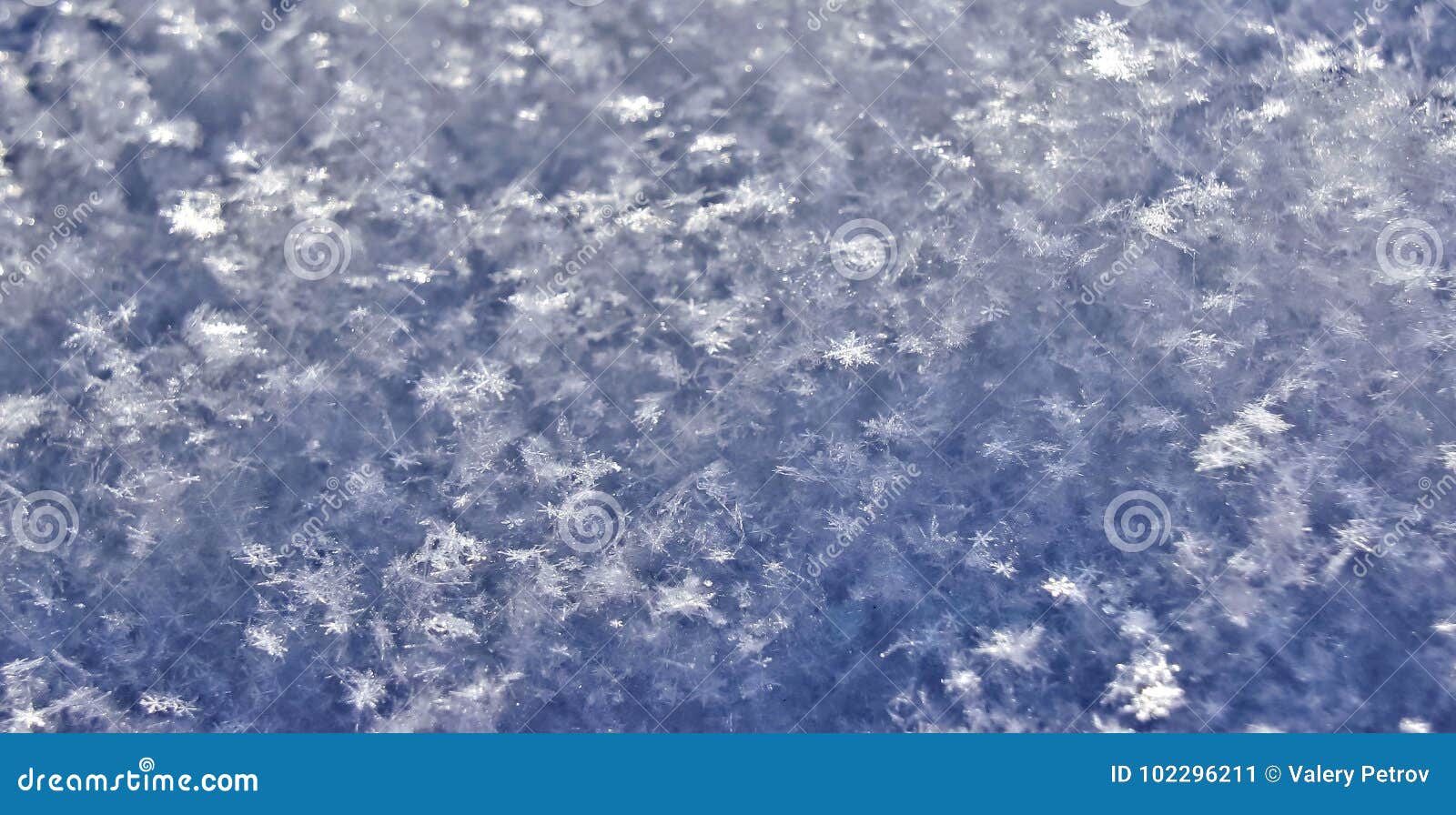 Micro-texture of the Snow, See Individual Snowflakes Stock Image ...