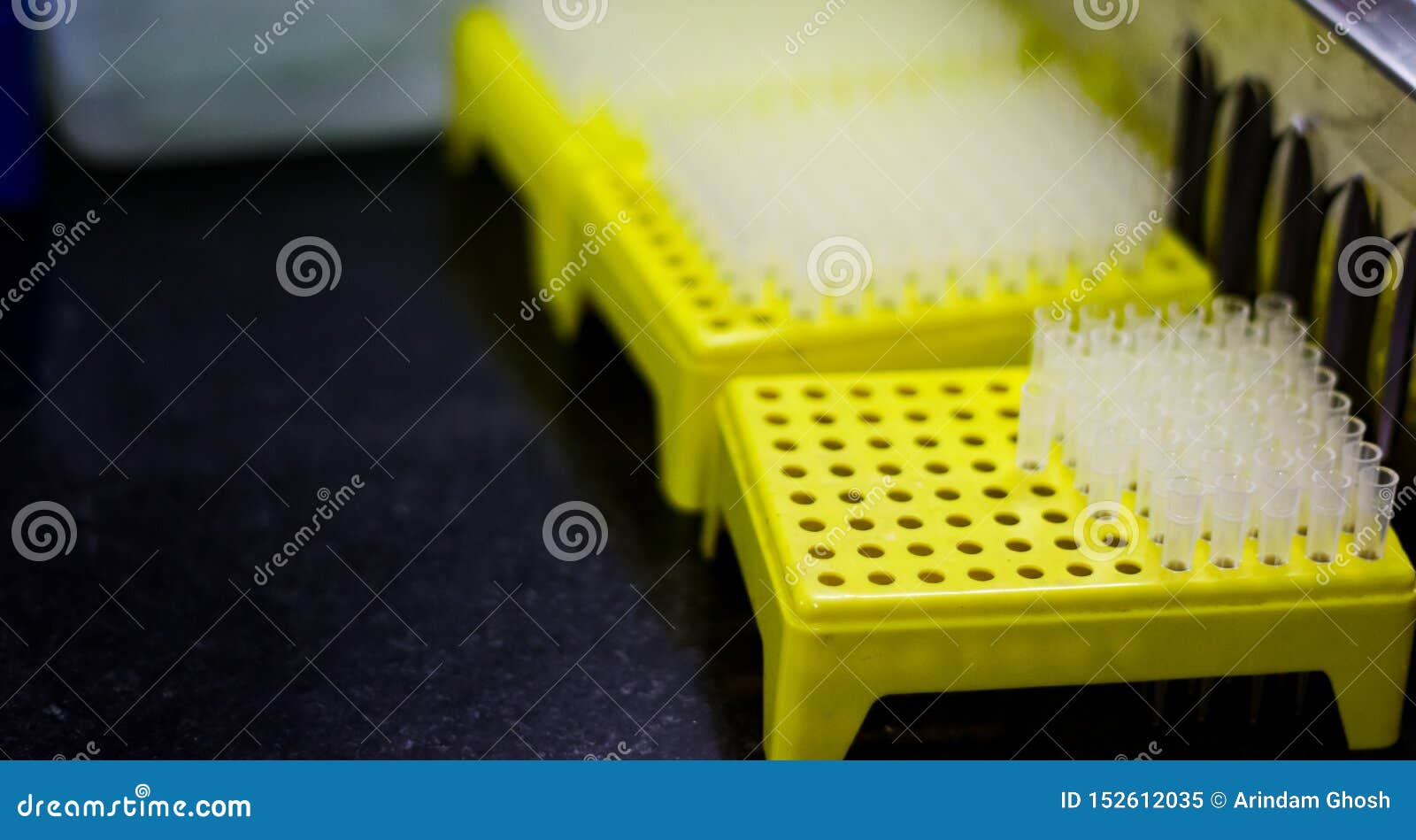 Micro Tips Arranged and Staked in a Yellow Micro Tip Stand for Micro ...