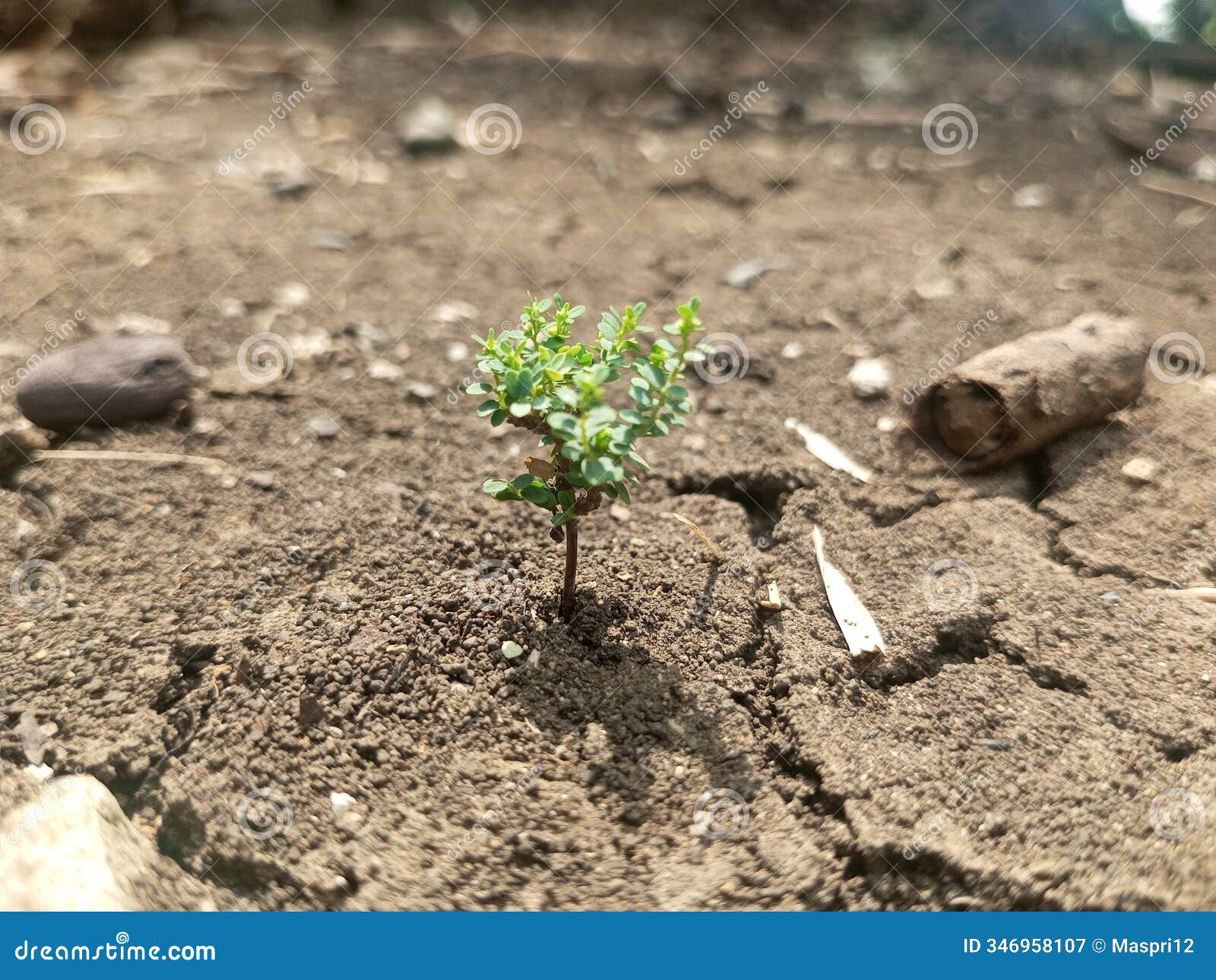 Barren Dry Land Arid Texture Background. Royalty-Free Stock Photography ...