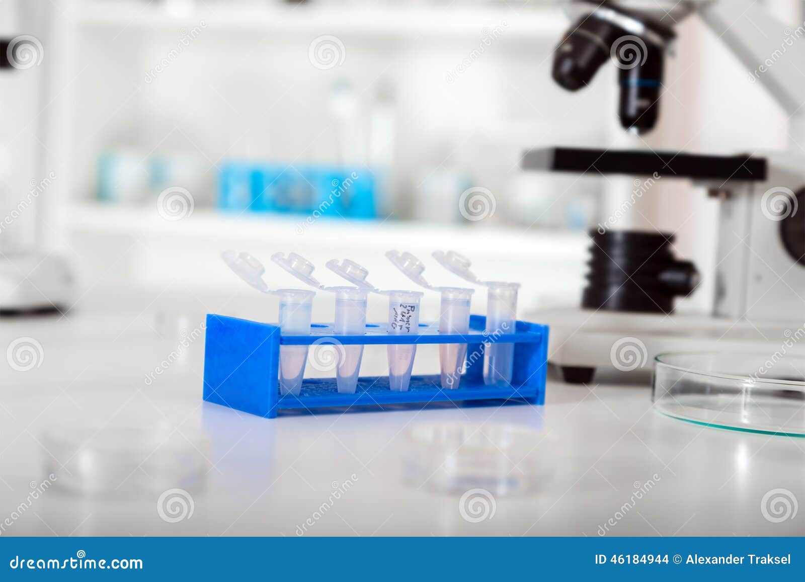 Micro Tubes with Biological Samples in Laboratory Stock Photo - Image ...