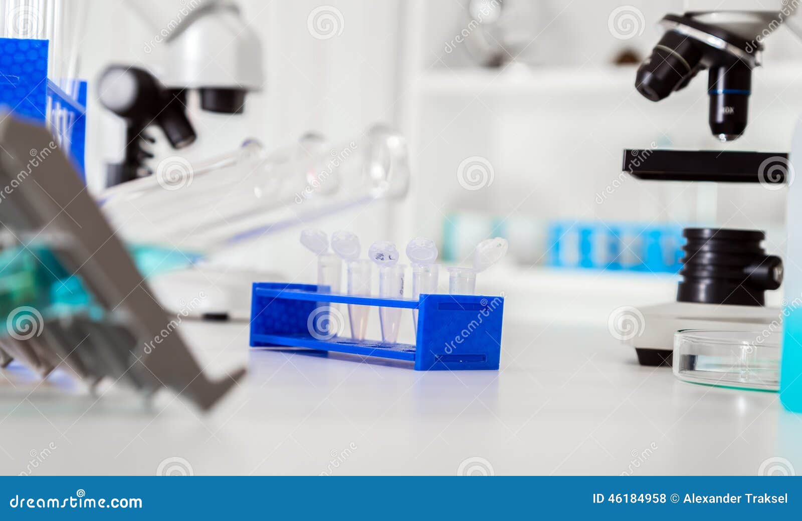 Micro Tubes with Biological Samples in Laboratory, Stock Photo - Image ...