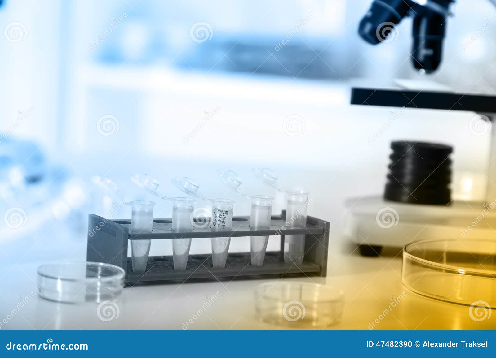 Micro Tubes with Biological Samples in Laboratory Stock Photo - Image ...