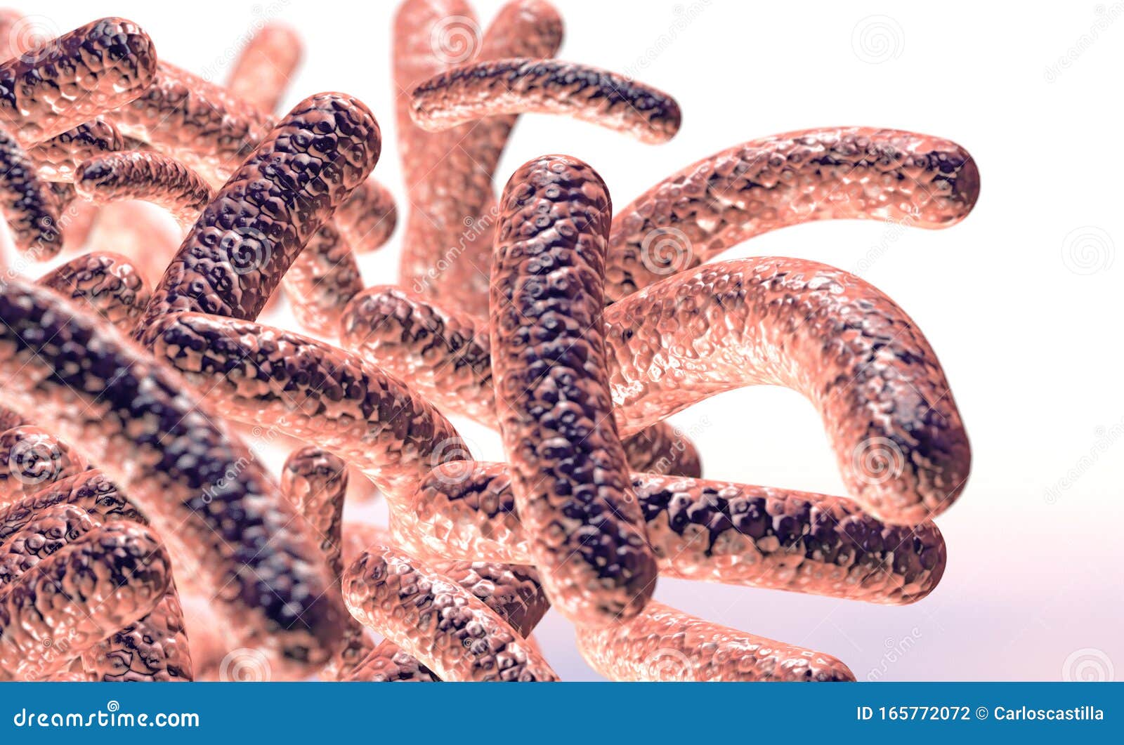 Microbacteria And Bacterial Organisms.biology And Science Background ...